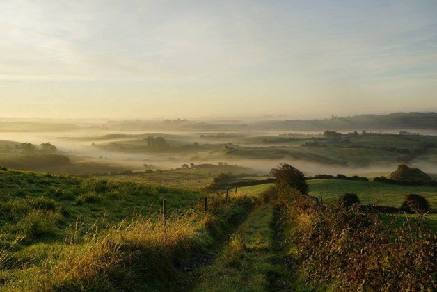 Over €39,000 awarded to Coillte for Clare projects - The Clare Herald