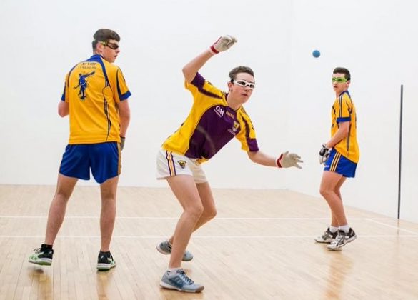 Clare handballers in Munster action - The Clare Herald