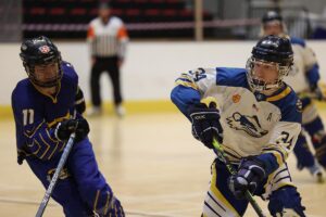Clare Badgers triumph in Hockey Championships - The Clare Herald