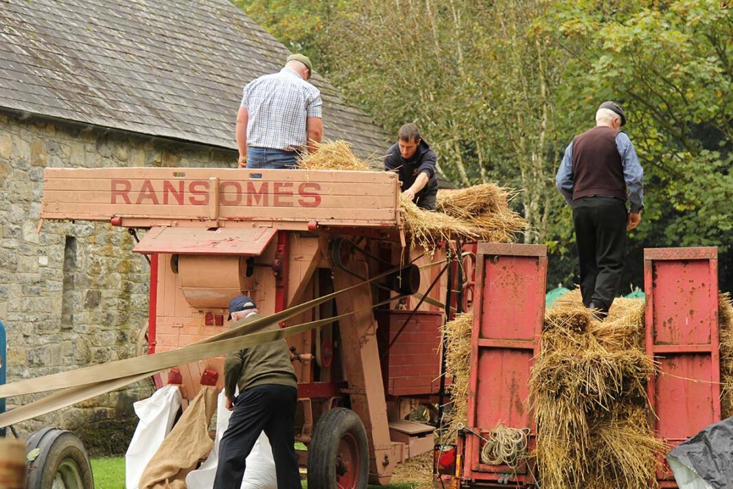 Bunratty Castle celebrates Traditional Irish Harvest Day - The Clare Herald