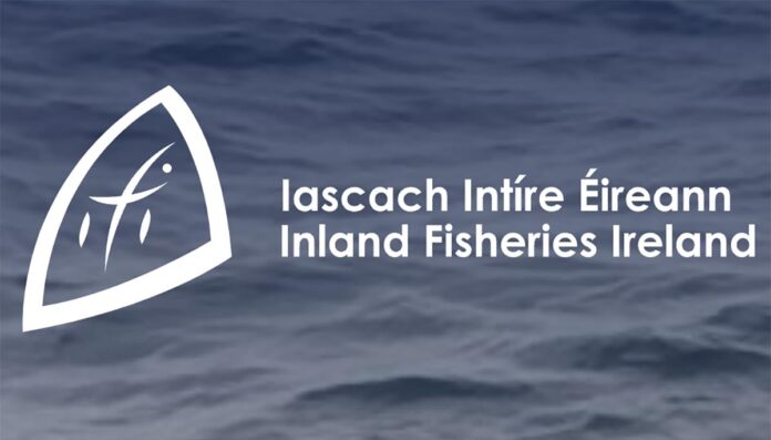 Inland Fisheries Ireland launches accessible angling scheme - The Clare ...