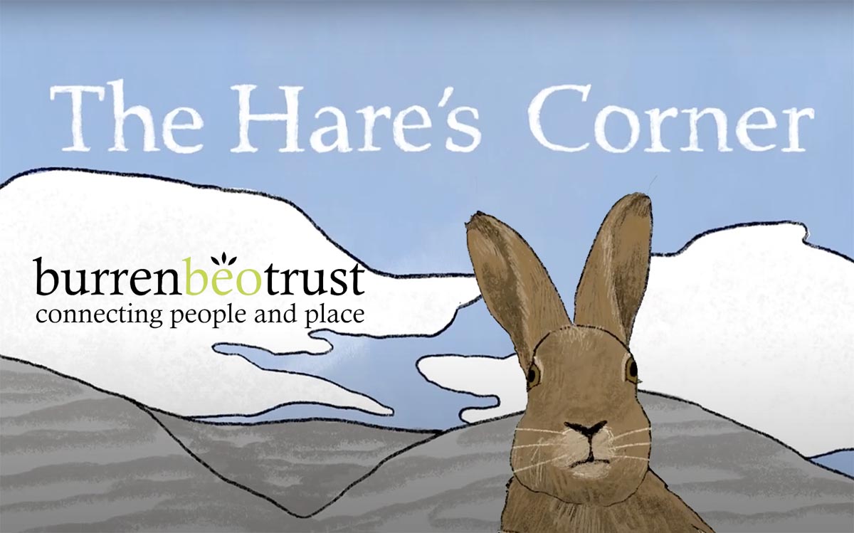 Hare’s Corner set to create 1,600 habitats in six counties - The Clare ...