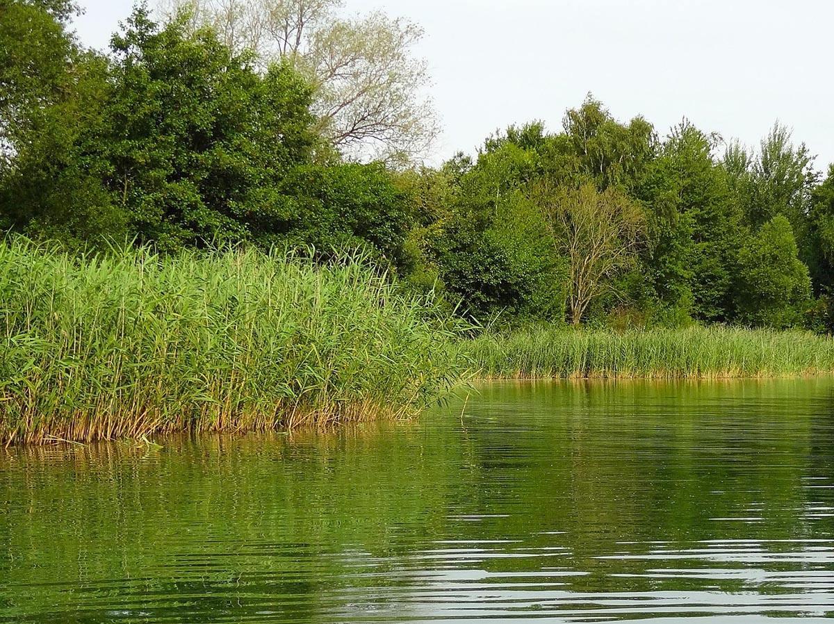 Community information meeting on water quality in Feakle - The Clare Herald