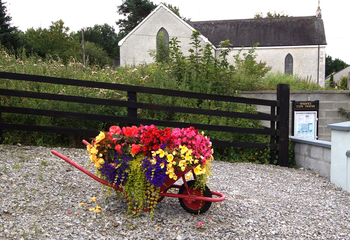 Bright and beautiful in Bodyke and Tuamgraney - The Clare Herald